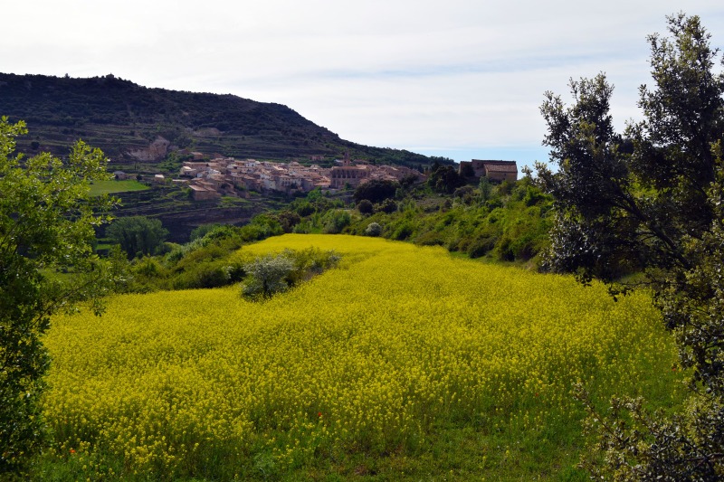 El Maestrazgo, el secreto mejor guardado de Teruel | Visita Maestrazgo